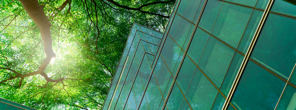 LEED and Construction Chemicals: What You Need to Know - Polywater